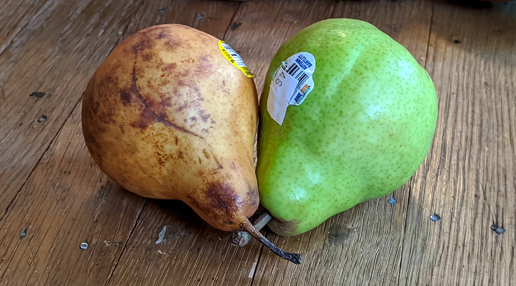 An Imperfect Food System: Reducing Waste While You Shop – Love Ugly Food